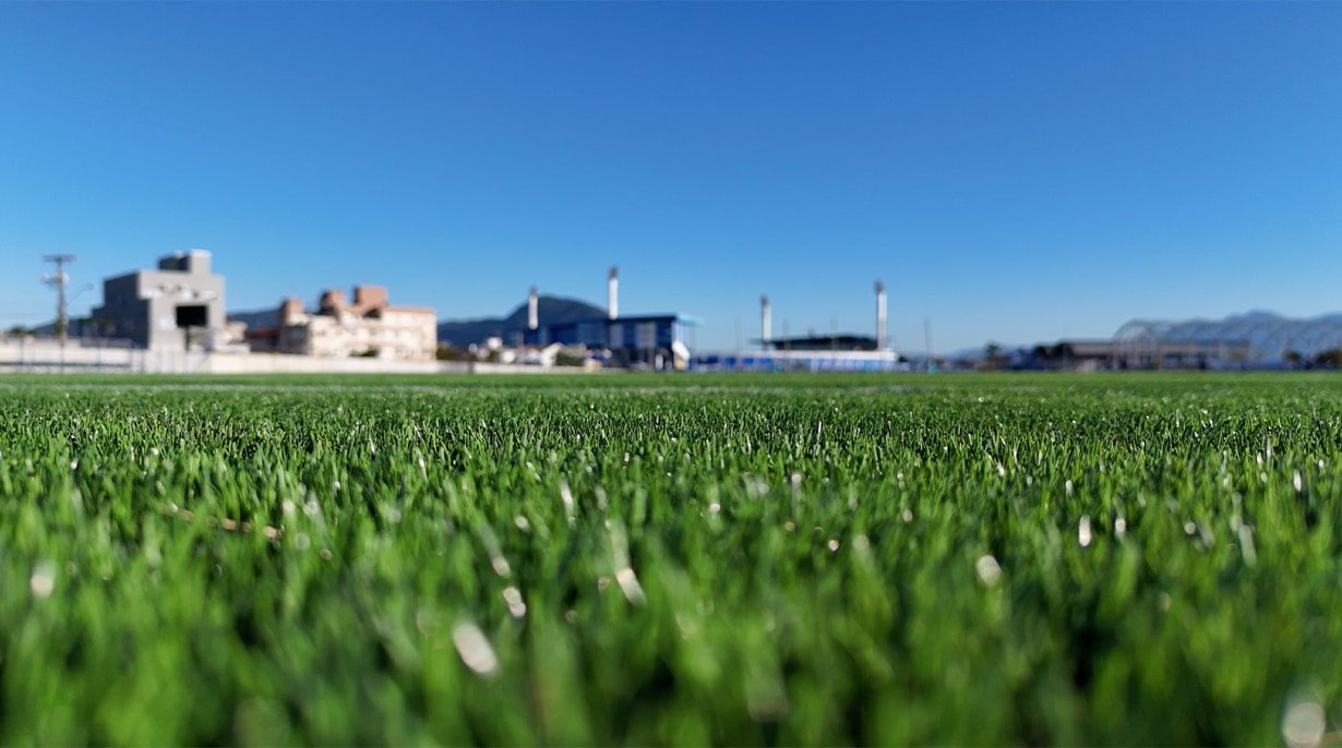 Manutenção Inteligente: Como Garantir a Durabilidade do Seu Gramado ...